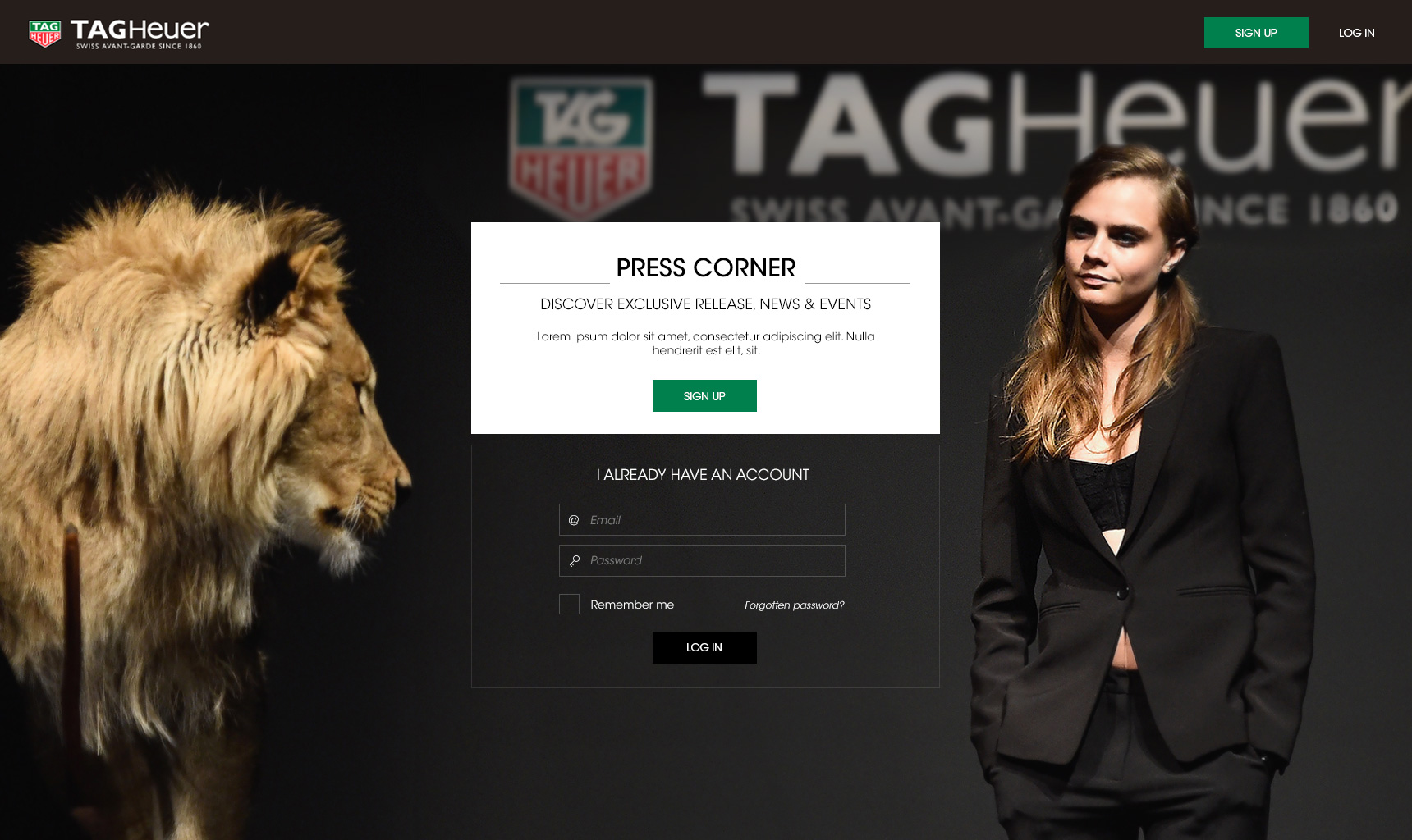Press Corner digital – Noémie Villard – Wild Beast Studio